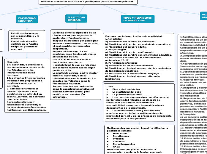 PLASTICIDAD CEREBRAL - Mind Map